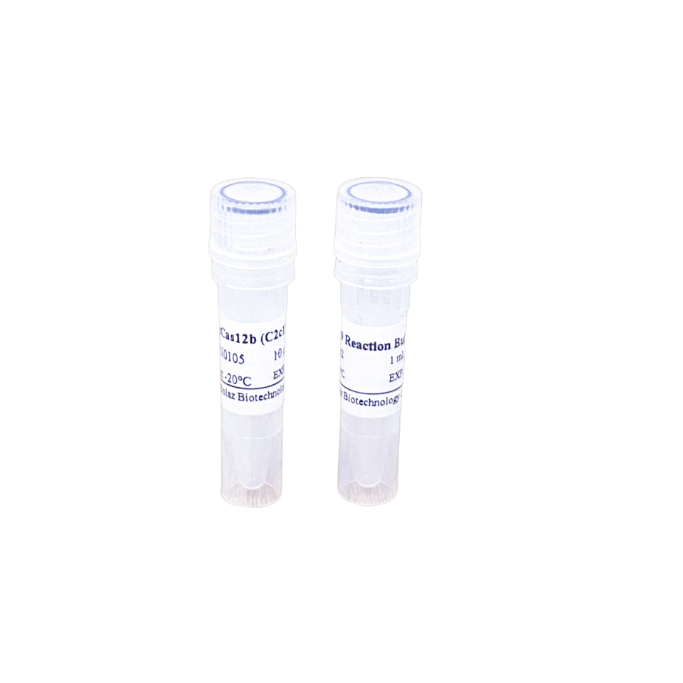 AacCas12b (C2c1) ,博雷兹生物科技有限公司