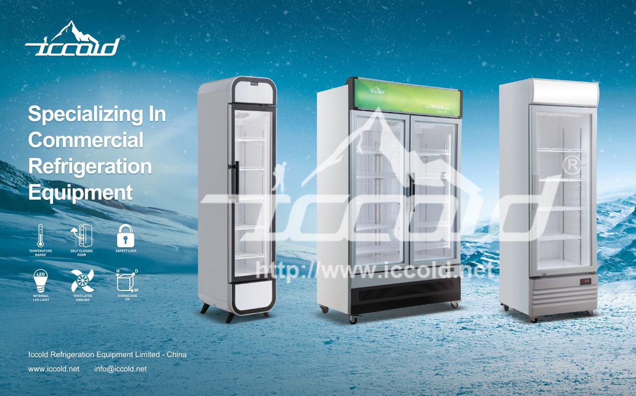 HOME [www.iccold.net]